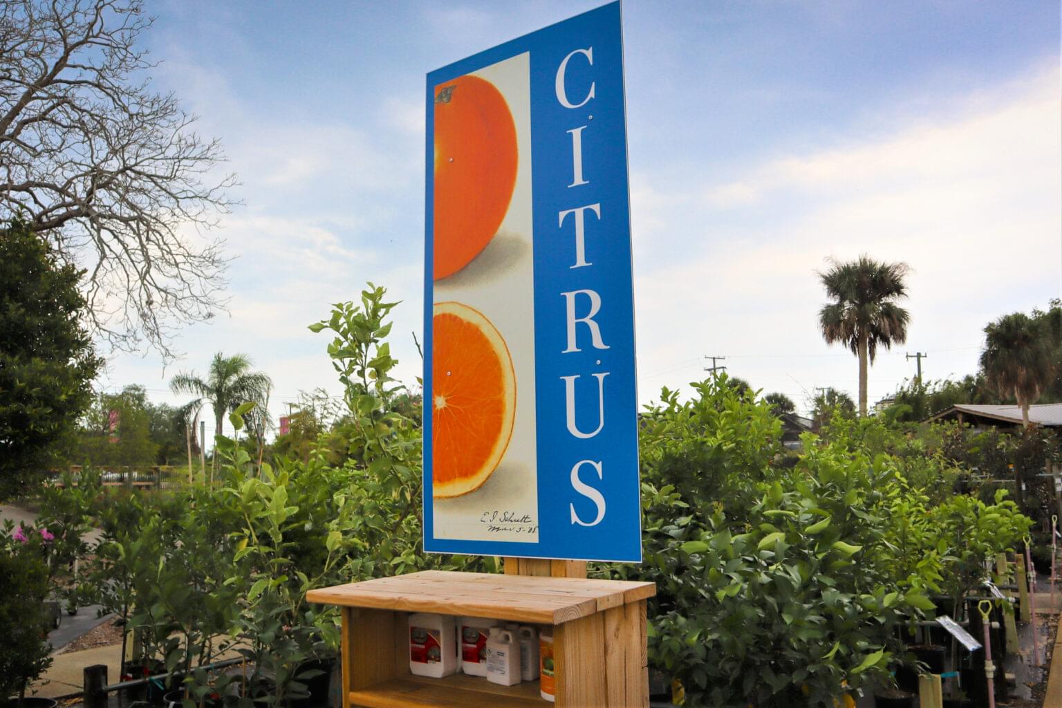 Citrus in Crisis: A Tale of Florida’s History of Citrus Growing, Citrus ...