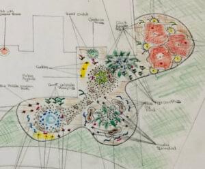 Florida Xeriscape Plants: Creating a Low-Maintenance Desert Look with ...