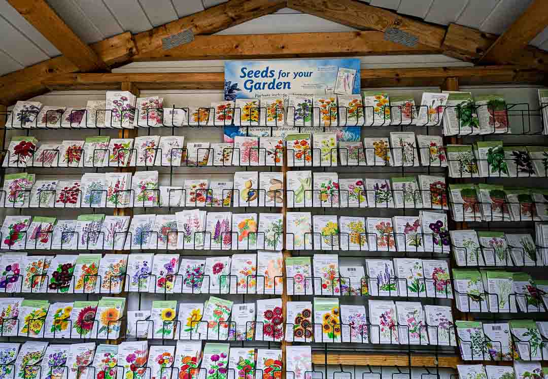 Seed Starting for Fall Veggies in Central Florida: Timing, What to ...